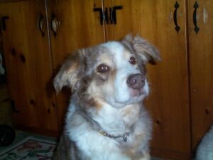 Tea with Bilbo – Melissa Fischer's Art